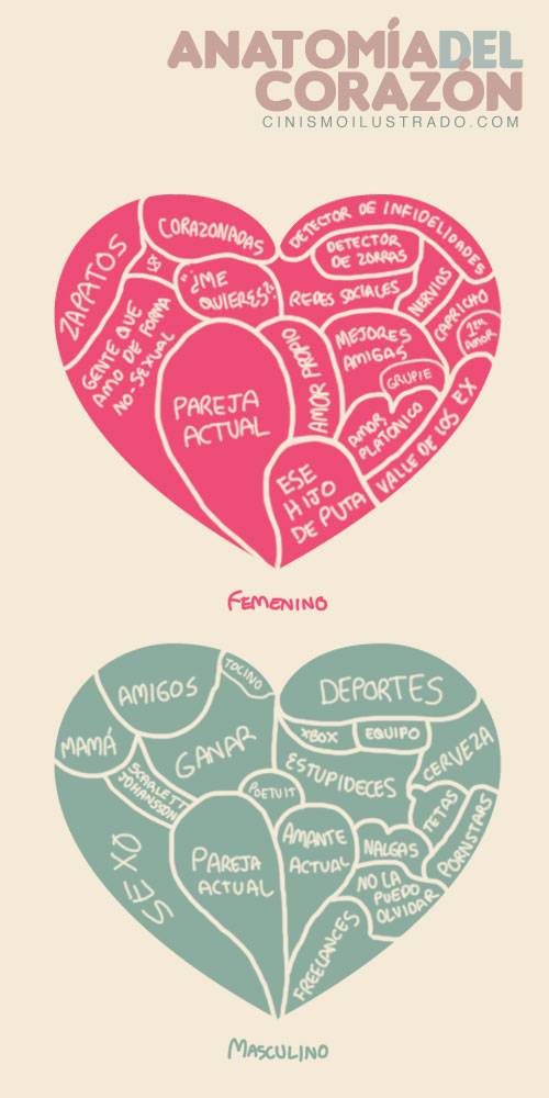 Anatomía del corazón masculino y femenino #infografia #infographic # ...